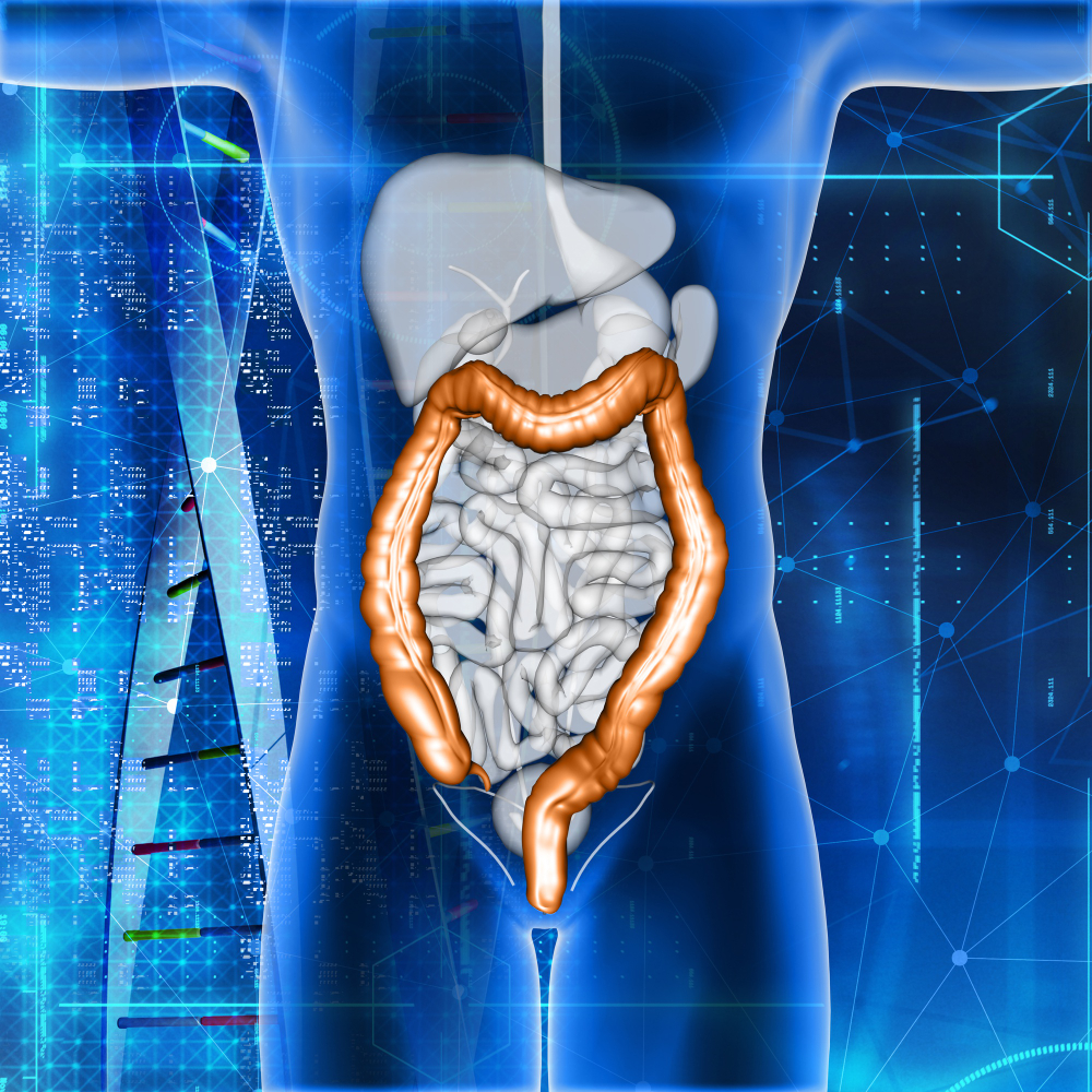 ENDOSCOPIE DIGESTIVA · Clinica ROUA